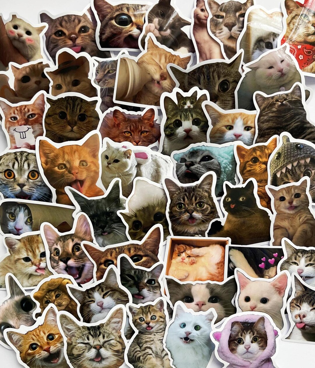 Cats Stickers,vinyl Stickers,10-50 Pcs Random Pack, FREE Shipping ...