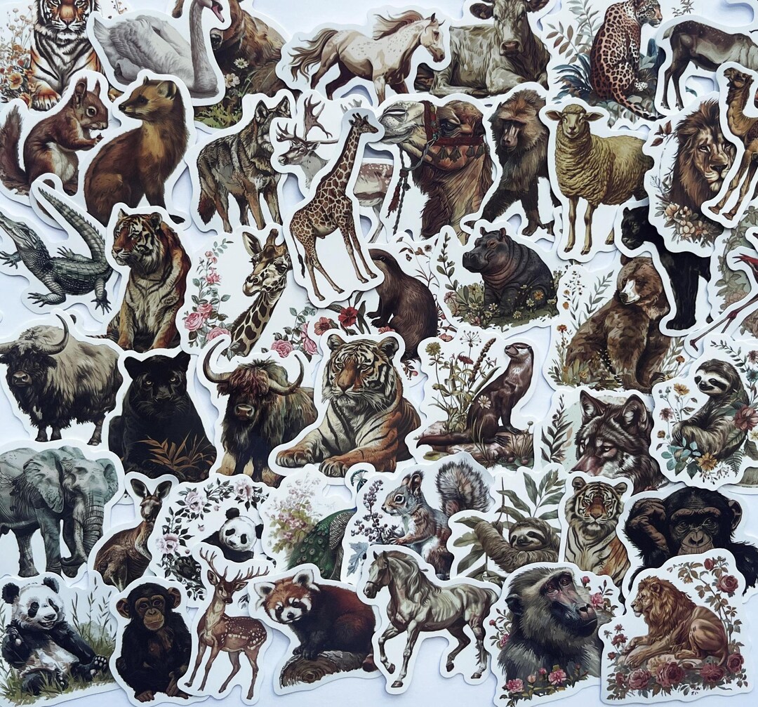Zoo Stickers,vinyl Stickers,10-50 Pcs Random Pack, FREE Shipping ...
