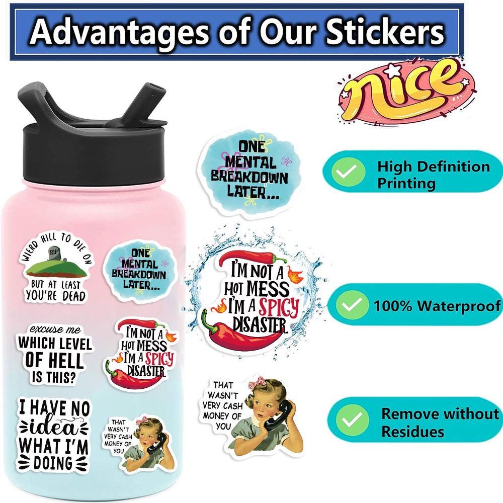 Snarky MEME Stickers,vinyl Stickers,10-50 Pcs Random Pack, FREE ...