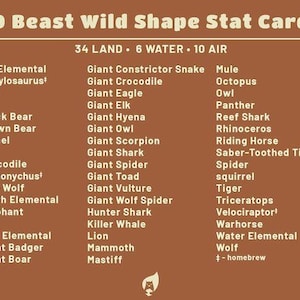 Skwirl's Wild Shape Cards–core + Expansion - Etsy