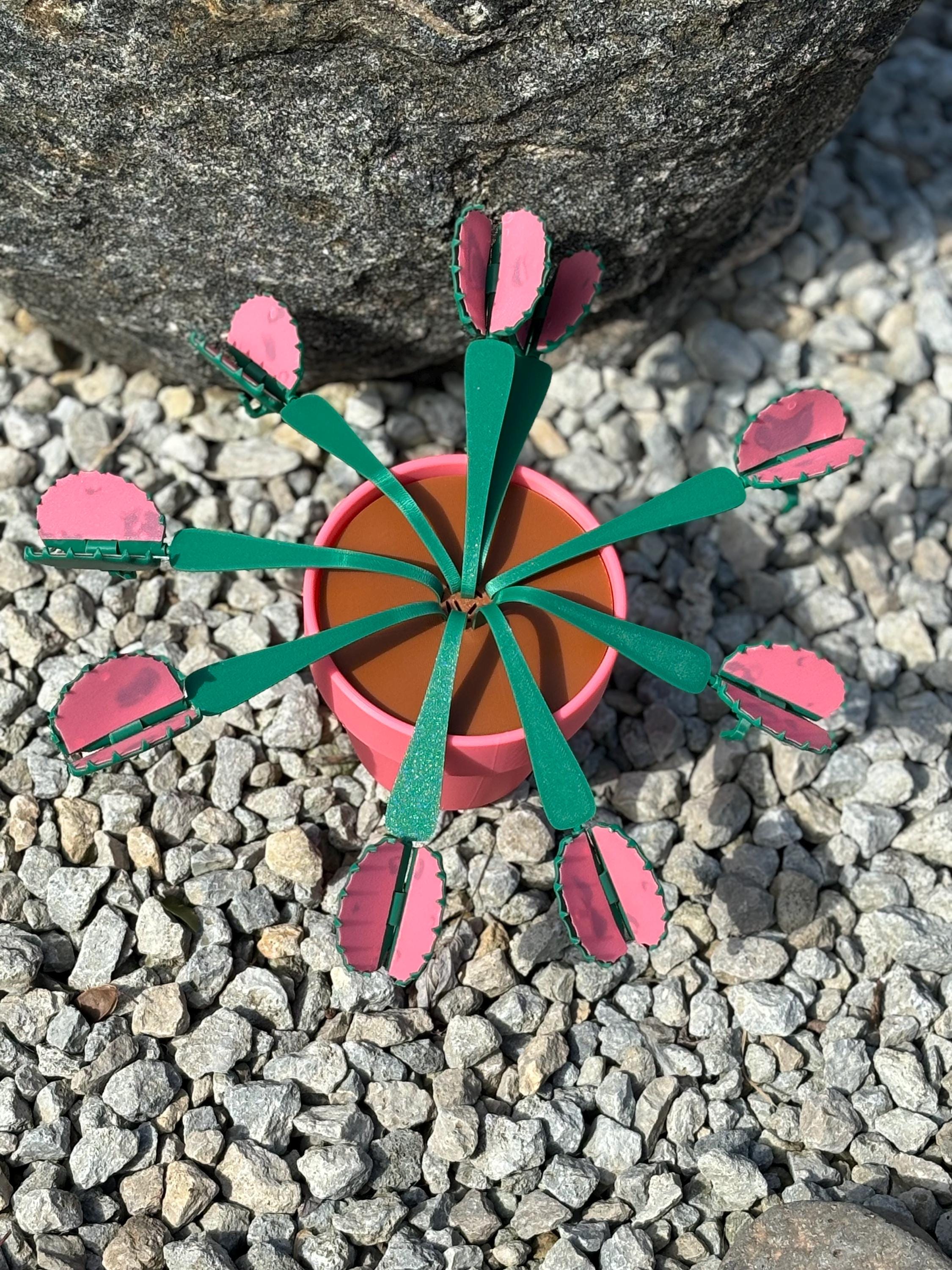 Venus Fly Trap Chip Clip - 3D Printed Snack Clips, Cute Kitchen Gadget ...