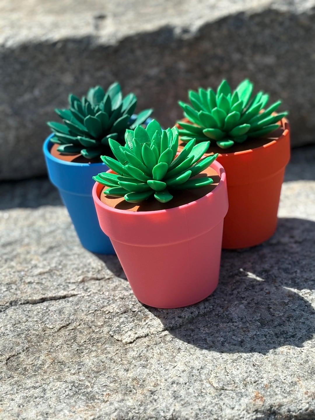 Push Pin Succulent - 3D Printed Desk Organizer, Cute Office Decor ...