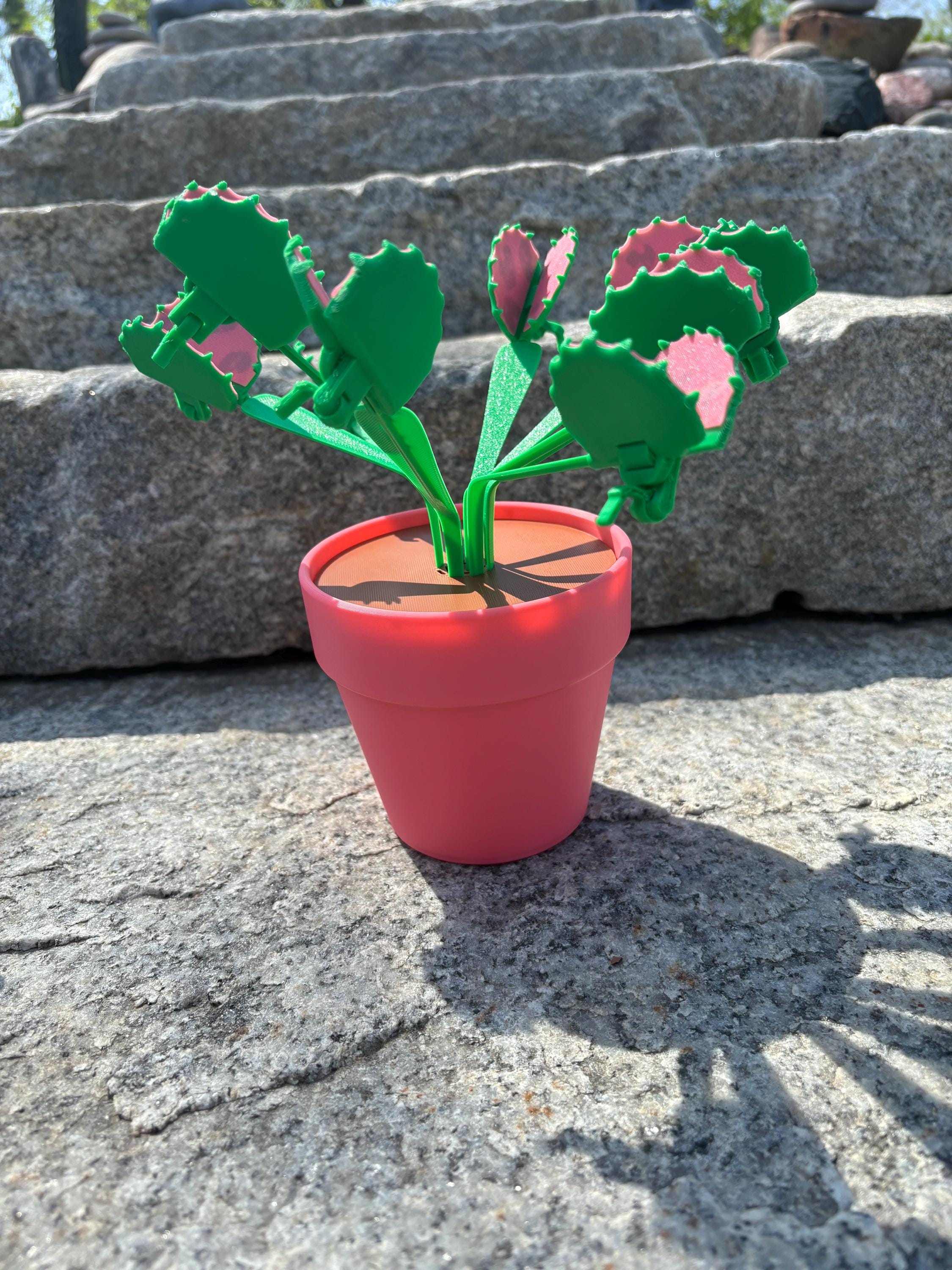 Venus Fly Trap Chip Clip - 3D Printed Snack Clips, Cute Kitchen Gadget ...