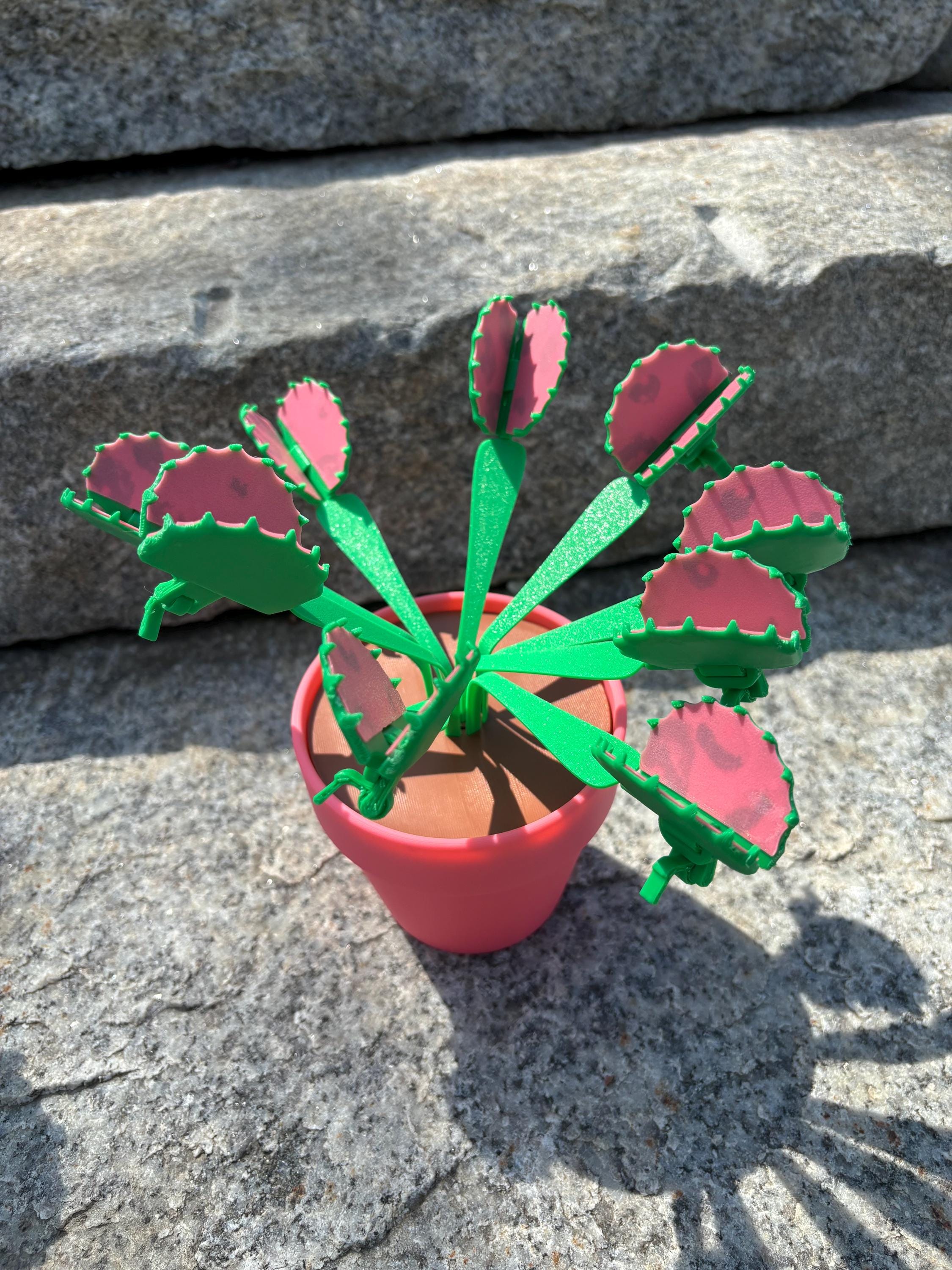 Venus Fly Trap Chip Clip - 3D Printed Snack Clips, Cute Kitchen Gadget ...