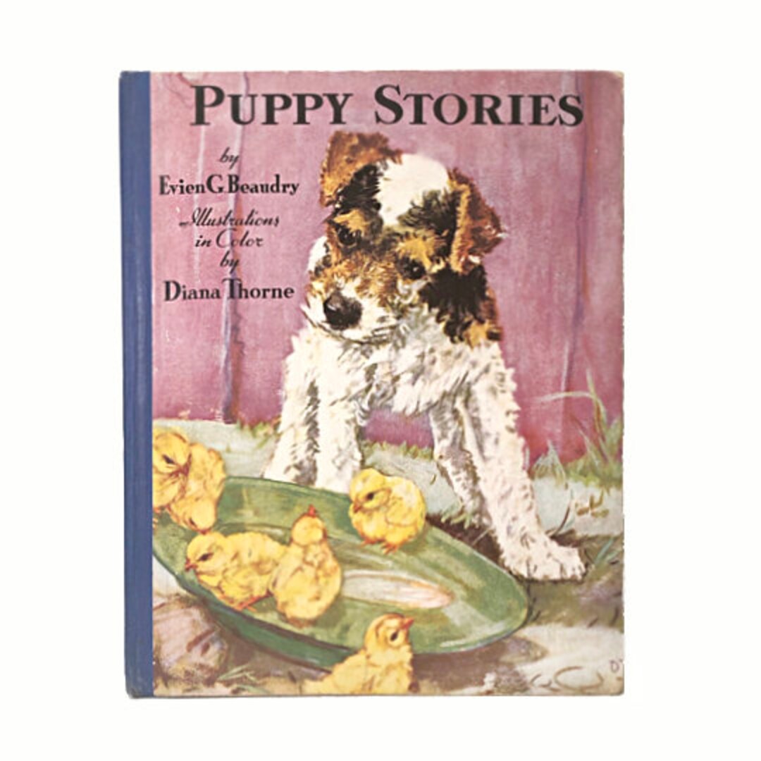1934 Puppy Stories Children's Book Large Vintage Puppy Stories Children ...
