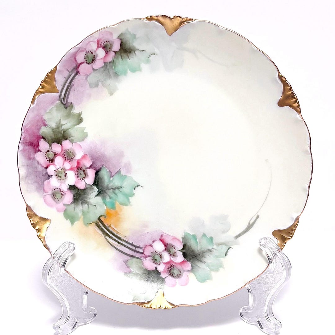 7” RC Rosenthal Versailles Bavaria Plate Hand Painted Floral Bavaria ...