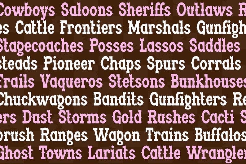 Script Font, Cursive Font, Cricut Font, Handwritten Font, Rodeo Spurs ...