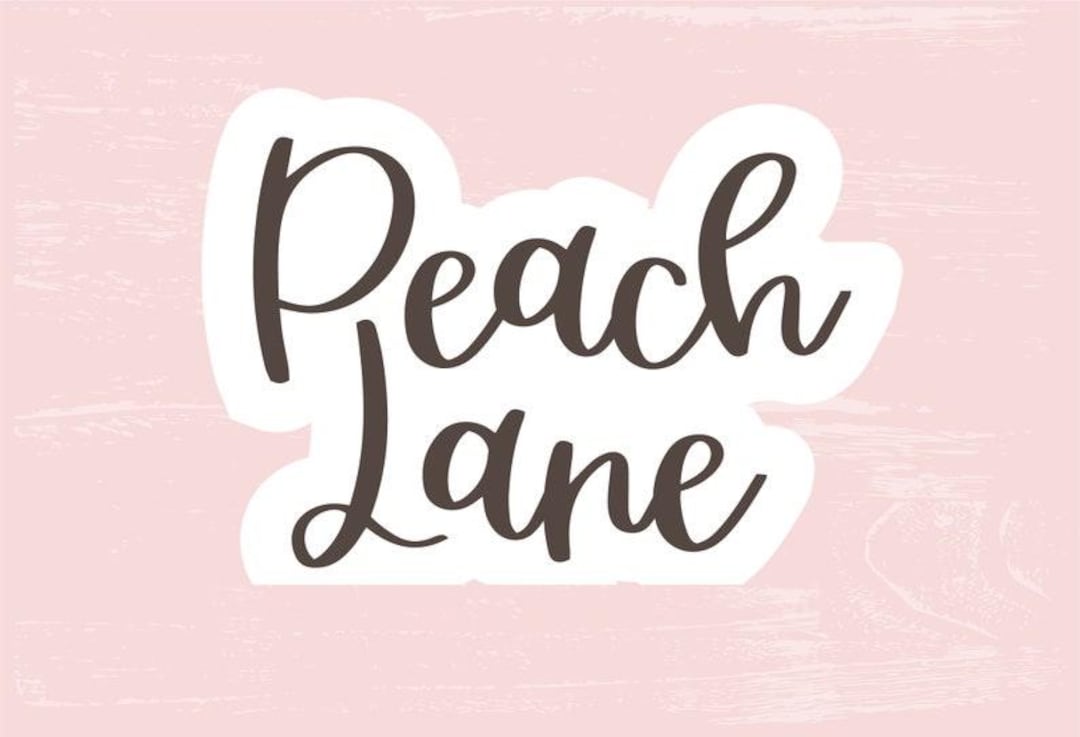 Script Font, Cursive Fonts, Cricut Font, Handwritten Font, Peach Lane ...