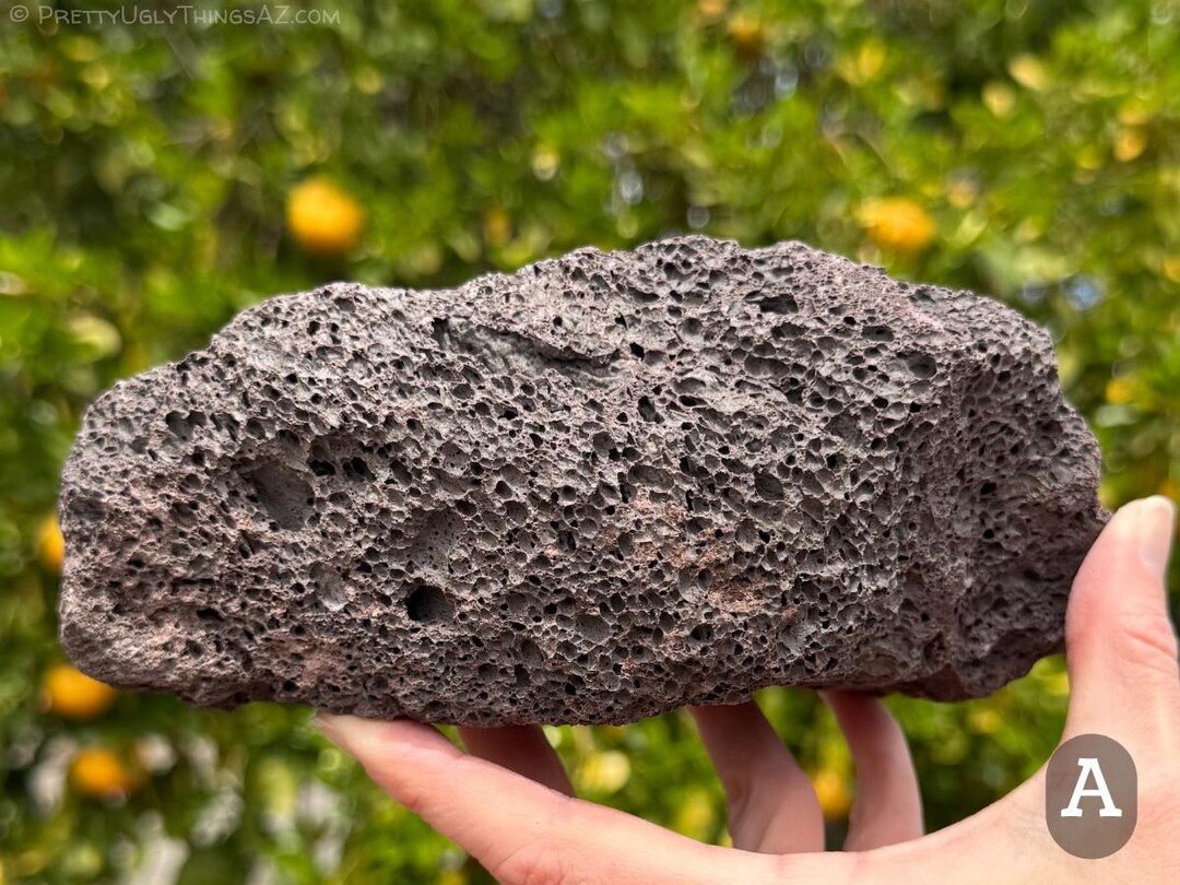 Volcanic Cinder Rocks, 6"+ - Etsy