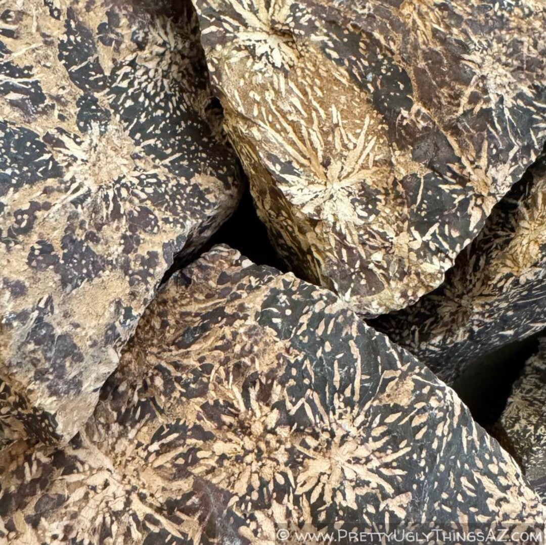 Spider Jasper Rough (approx 1 Lb) - Etsy