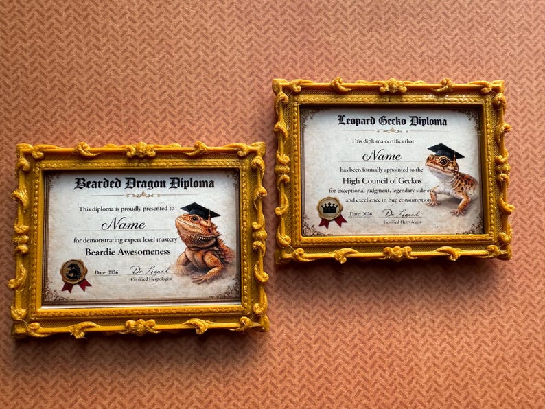 Custom Reptile Diploma Frame | Funny Bearded Dragon or Leopard Gecko ...