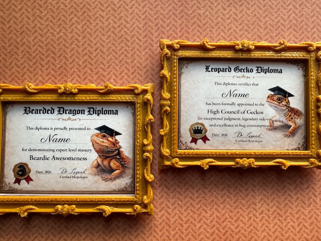 Custom Reptile Diploma Frame | Funny Bearded Dragon, Leopard Gecko ...