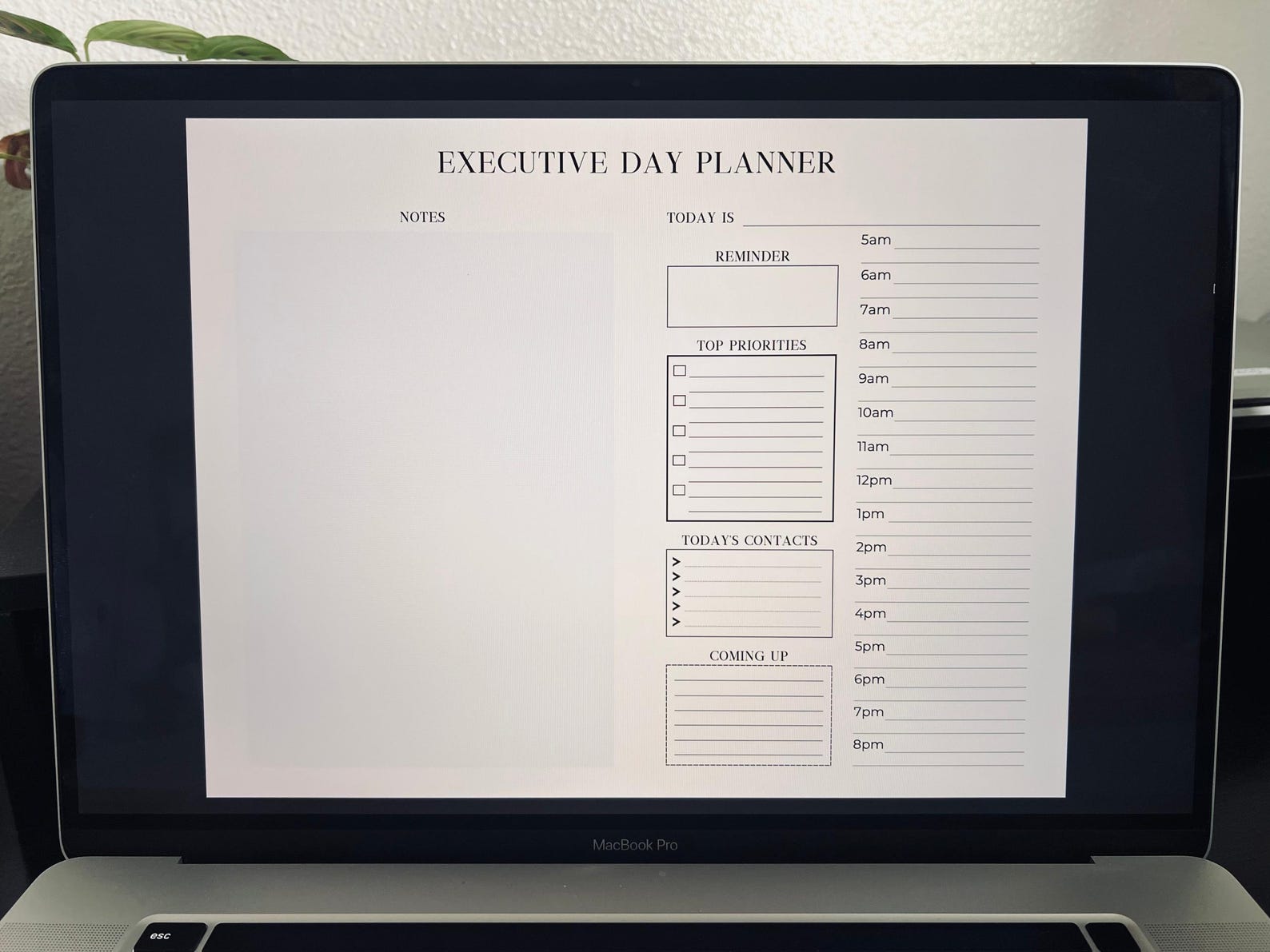 Executive Day Planner | Fillable and Printable Pdfs | Instant Digital ...
