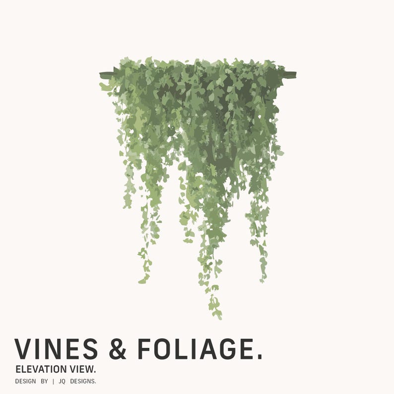 Set of 10 Vine Elevation Vector Set - Instant Digital Download - Etsy