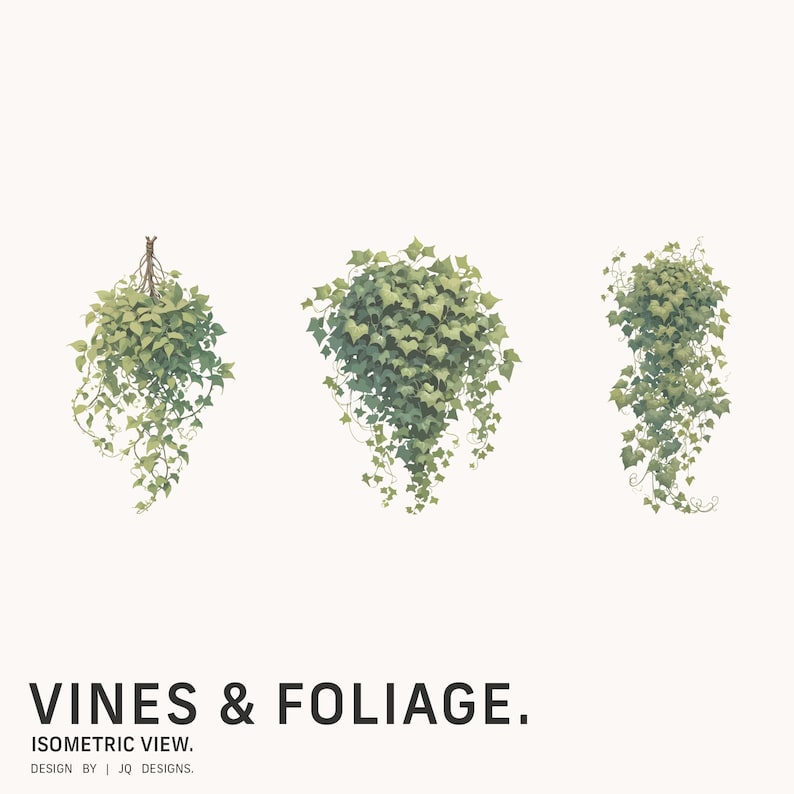 Set of 16 Isometric Vine Vector Set - Instant Digital Download - Etsy