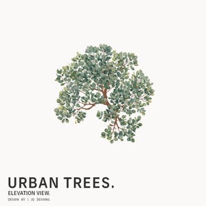 Set of 16 Urban Tree Vectors – Individual Illustrations in Plan ...
