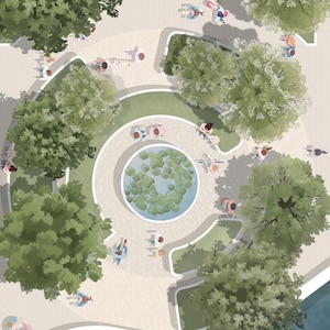 Set of 16 Urban Tree Vectors – Individual Illustrations in Plan ...
