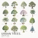 Set of 16 Urban Tree Vectors – Individual Illustrations in Isometric ...