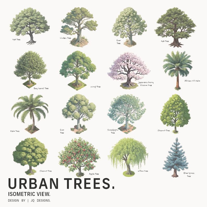 Set of 16 Urban Tree Vectors – Individual Illustrations in Isometric ...