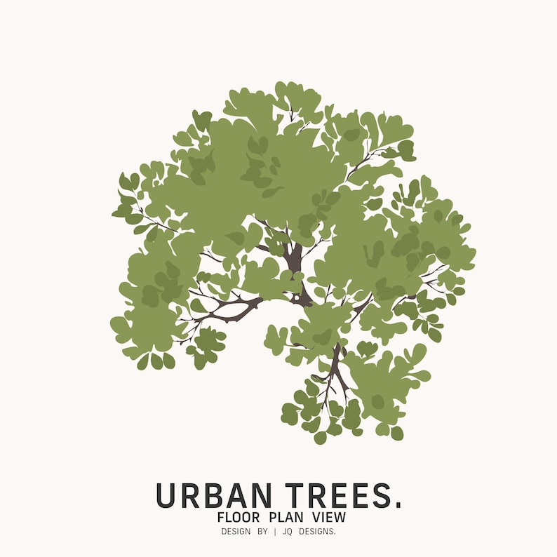 Tree Plan View Vectors | Minimalist Flat Color Illustrations (digital ...