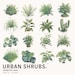 Set of 16 Isometric Shrub Vector Set – Instant Digital Download - Etsy