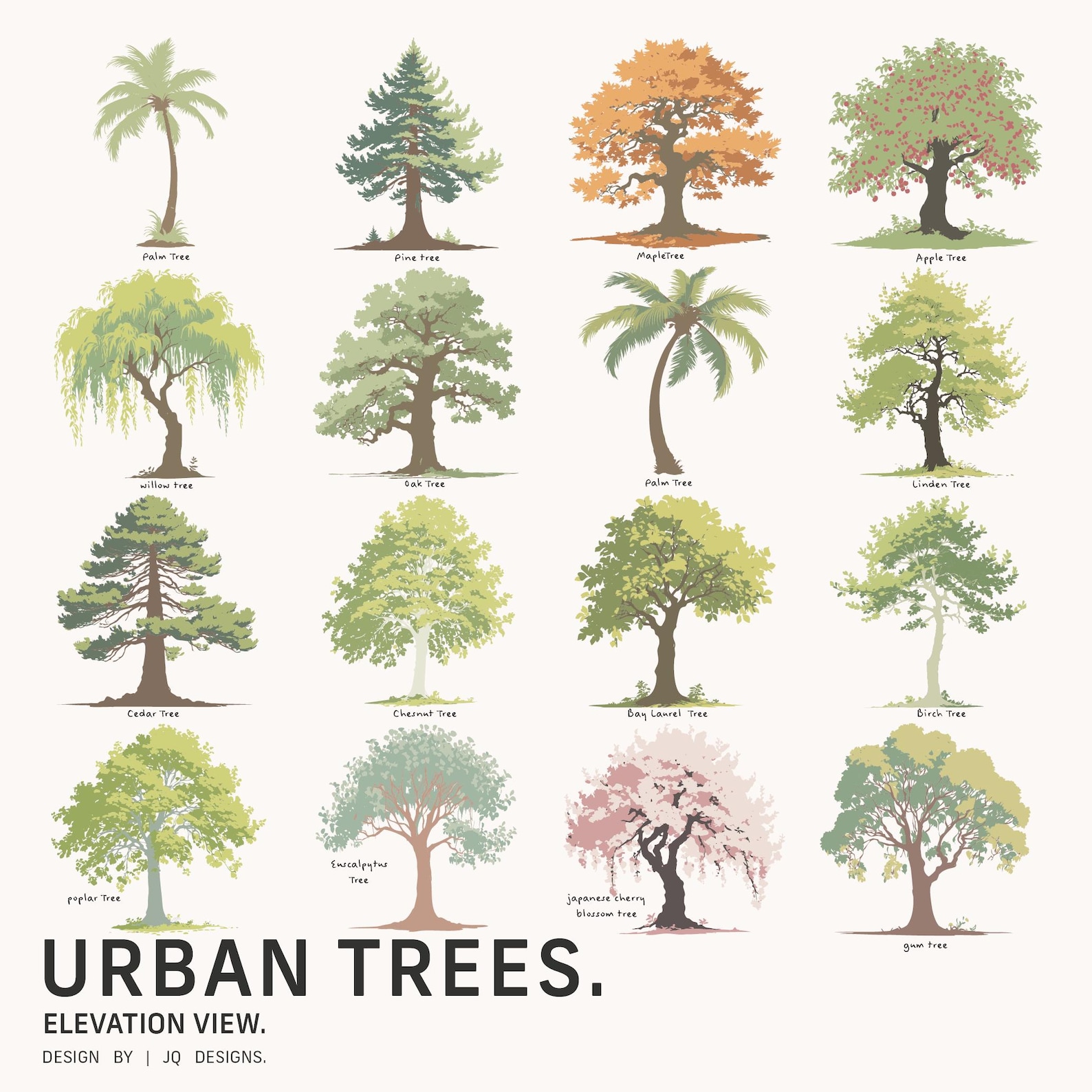 Urban Tree Elevation Vector Bundle: 16 Tree Illustrations, 4 Styles ...