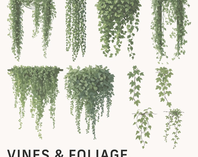 Set of 10 Vine Elevation Vector Set - Instant Digital Download - Etsy