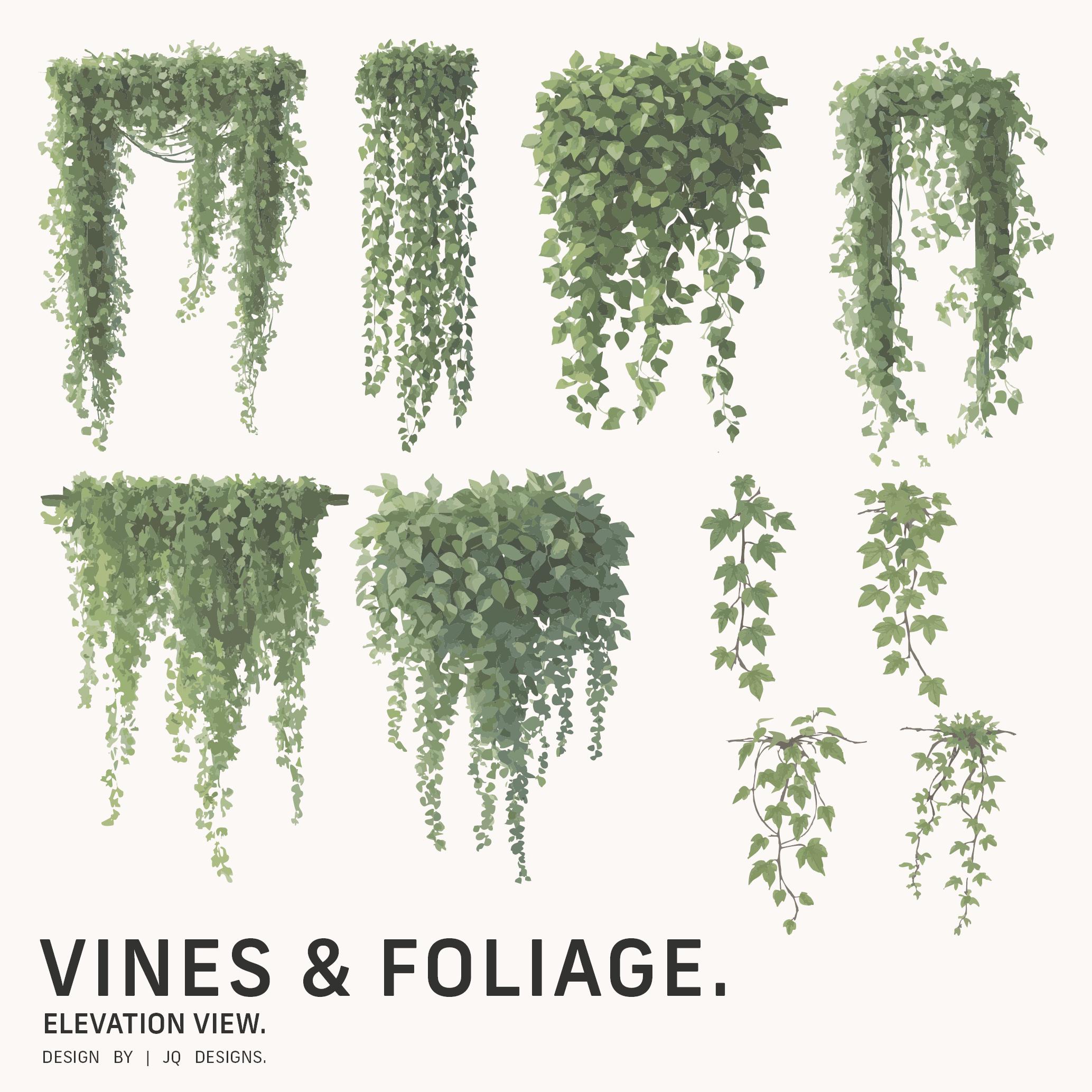 Set of 10 Vine Elevation Vector Set - Instant Digital Download - Etsy