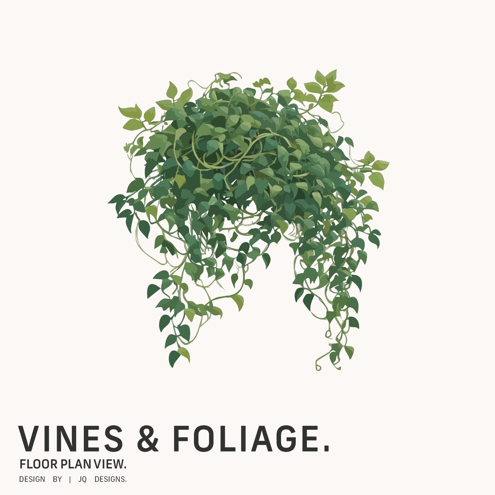 Set of 12 Plan View of Vines & Foliage - Vector Set - Instant Digital ...