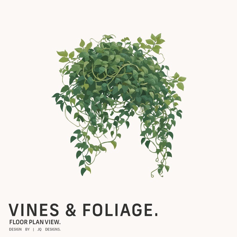 Set of 12 Plan View of Vines & Foliage - Vector Set - Instant Digital ...