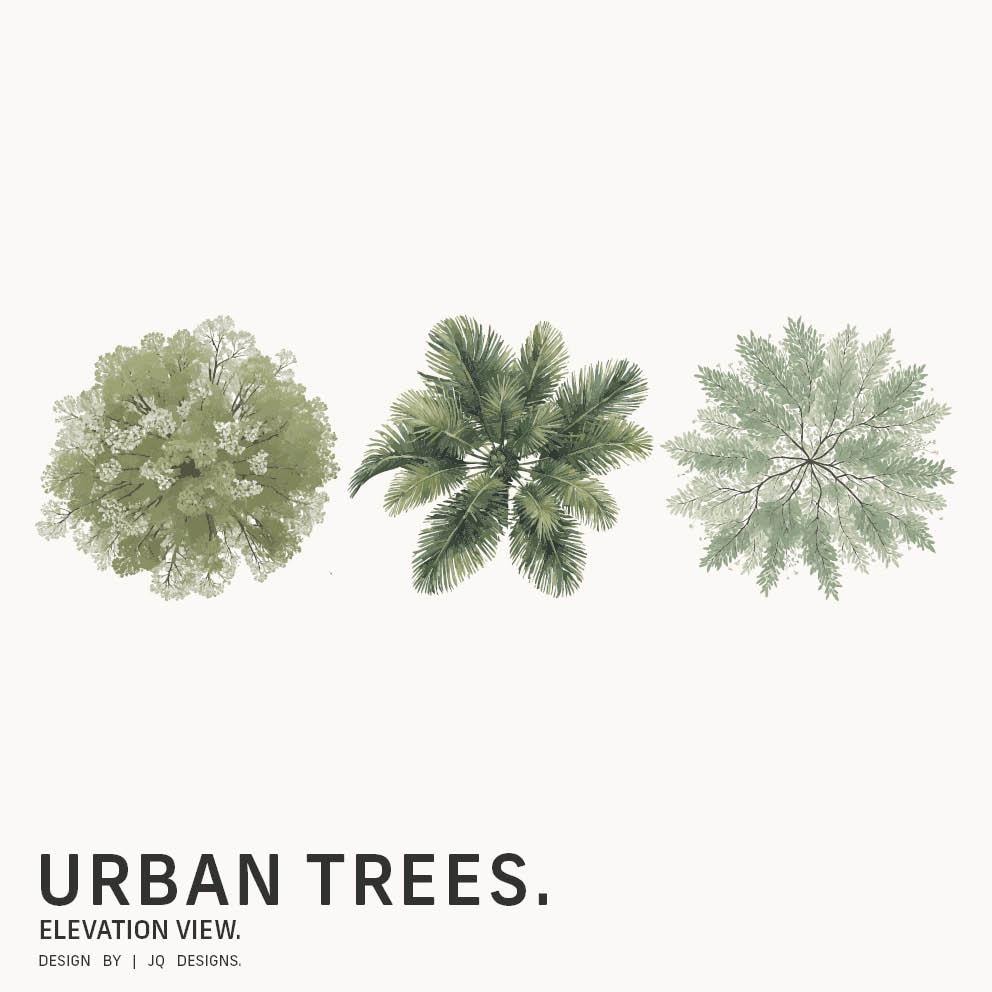 Set of 16 Urban Tree Vectors – Individual Illustrations in Plan ...