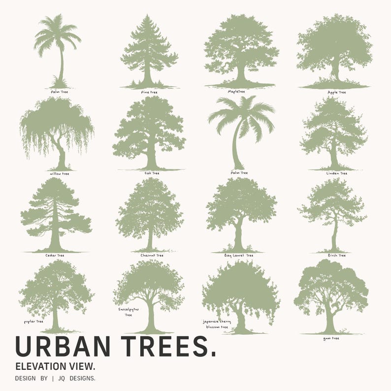 Urban Tree Elevation Vector Bundle: 16 Tree Illustrations, 4 Styles ...