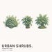 Set of 16 Isometric Shrub Vector Set – Instant Digital Download - Etsy