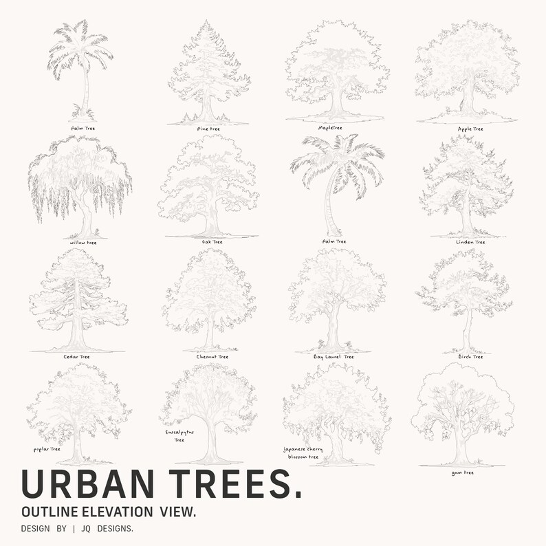 Urban Tree Elevation Vector Bundle: 16 Tree Illustrations, 4 Styles ...