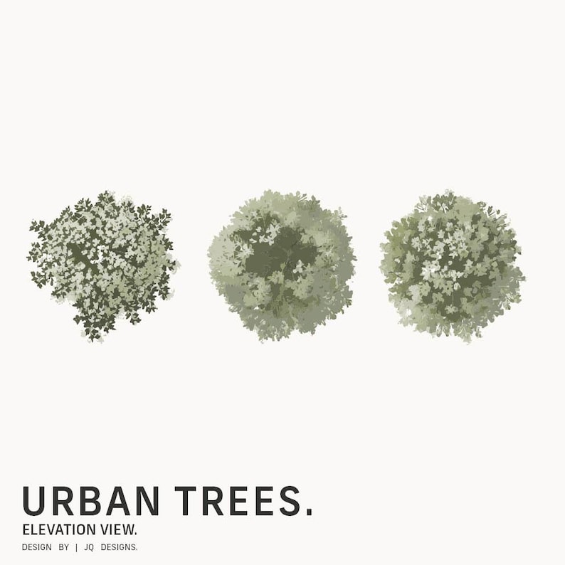 Set of 16 Urban Tree Vectors – Individual Illustrations in Plan ...