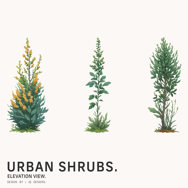 Set of 16 Shrub Elevations Vector Set – Instant Digital Download - Etsy