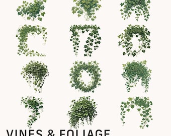 Set of 10 Vine Elevation Vector Set - Instant Digital Download - Etsy