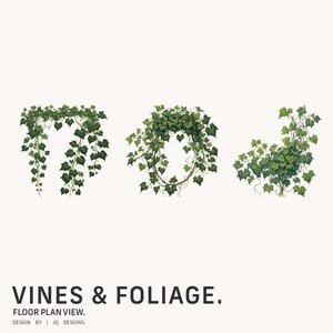 Set of 12 Plan View of Vines & Foliage - Vector Set - Instant Digital ...