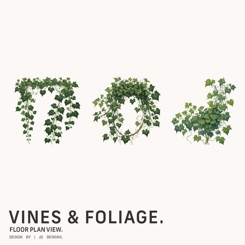 Set of 12 Plan View of Vines & Foliage - Vector Set - Instant Digital ...