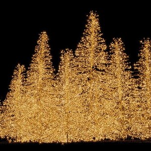 85 Christmas Themed Animated Backgrounds for Microsoft MS Teams Bring ...