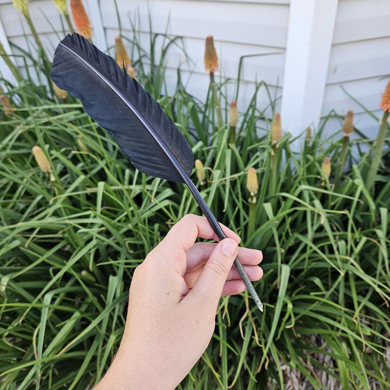 Feather Writing Quill - Etsy
