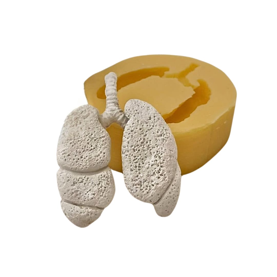Lungs Silicone Mold for Soap, Candles, Resin, Plaster, Desserts ...