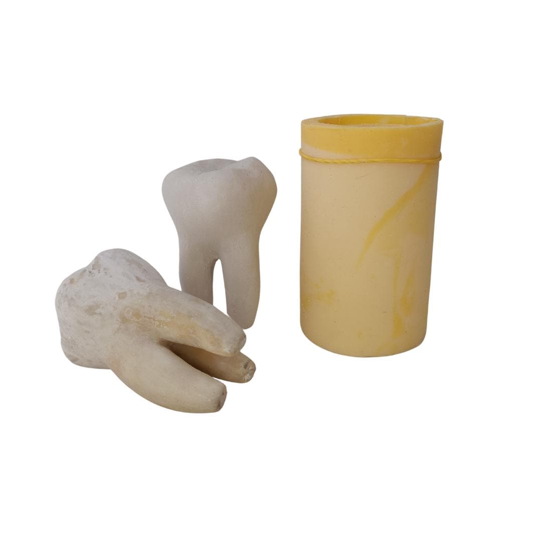 Tooth Candle Mold | Molar Tooth Silicone Mold 155ml | Realistic Dental ...