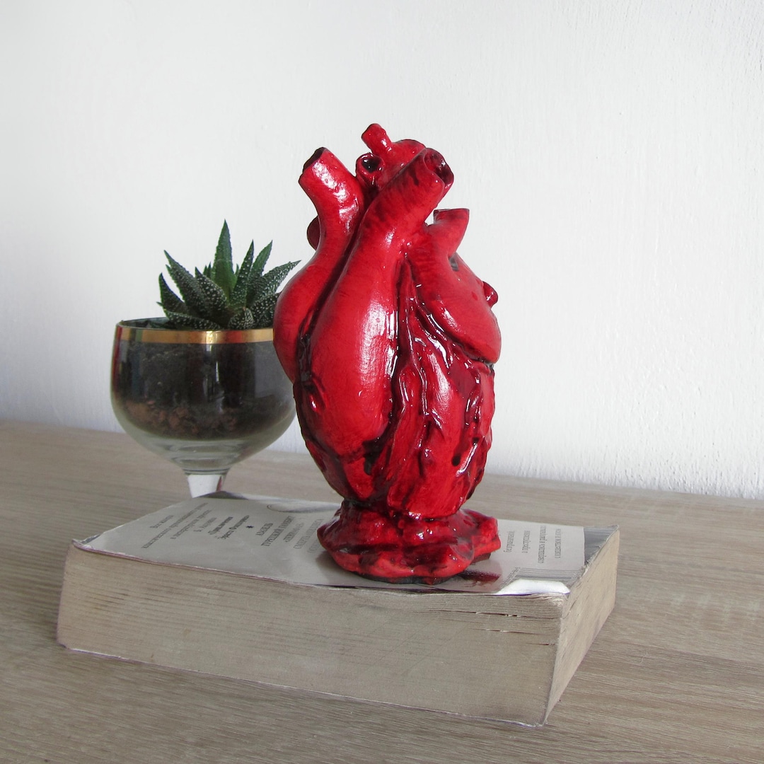 Red Anatomical Heart Sculpture – 15cm Handmade Gypsum Statue, Made to ...