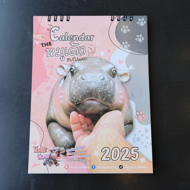 2025 Meme Calendar - Etsy