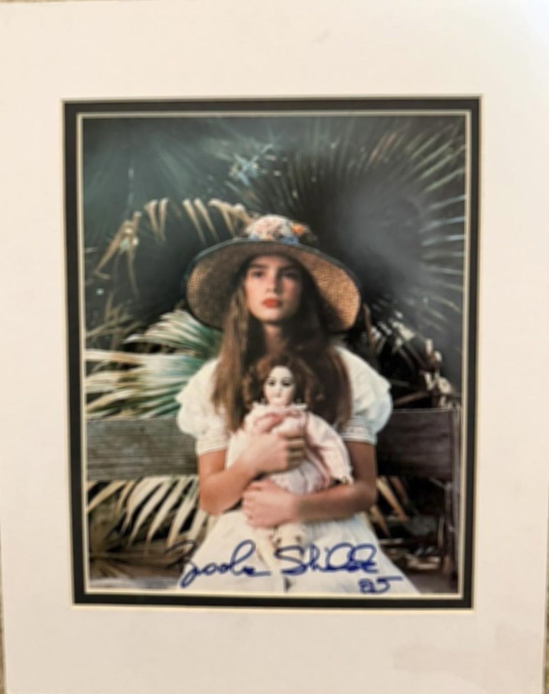 Brooke Shields Beautiful Actress REAL SIGNED Autographed 11x14" Framed ...