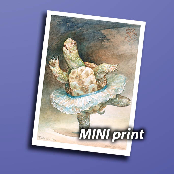 Turtle in a Tutu (5x7 Mini Print)- Ballet, Animal, Pets, Home Decor ...