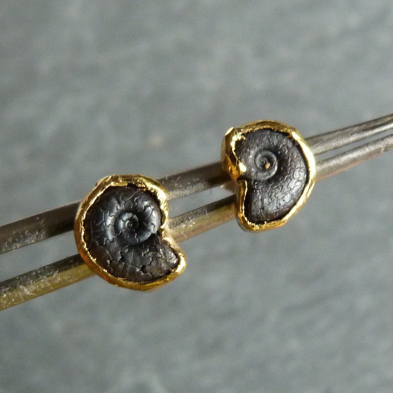 Fine gold and 18 ct gold studs, ammonite fossils: Important,IMPORTANT ...