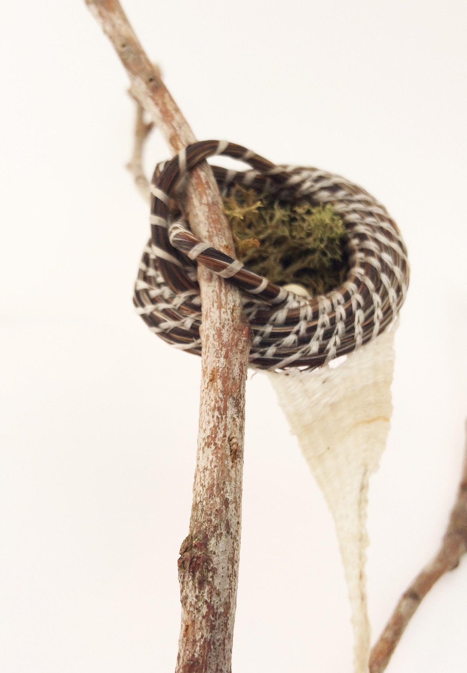 Horsehair Basketry Kit, Hummingbird Nest, How-to, Coiling With ...