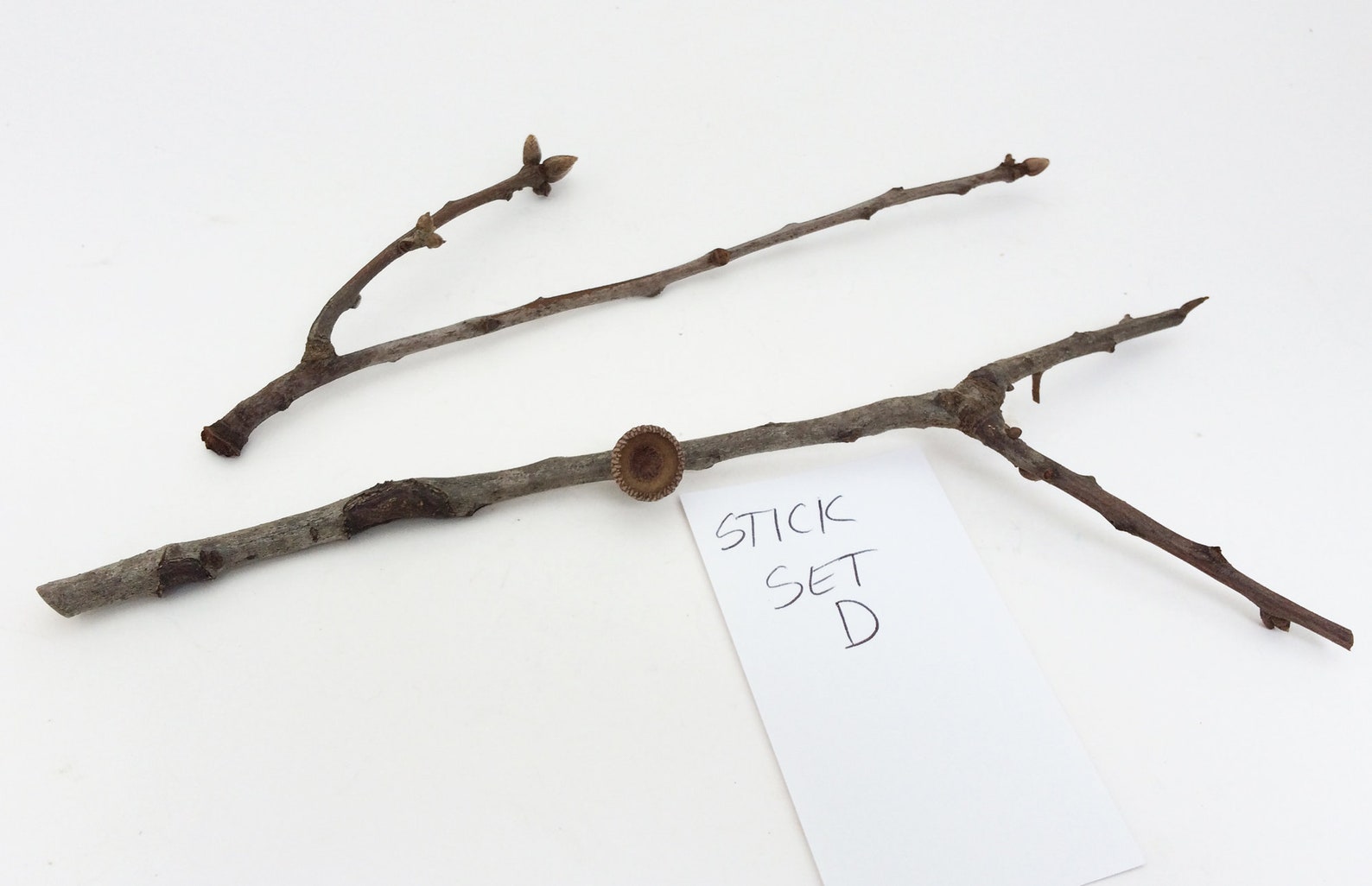 Horsehair Basketry Kit, Hummingbird Nest, How-to, Coiling With ...